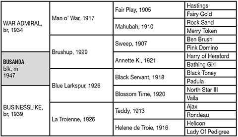 Pedigree Analysis: Busanda - BloodHorse