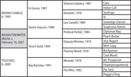 Indian Firewater Improves With Age - BloodHorse