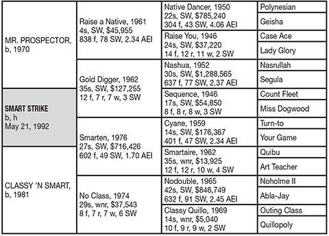 Smart Strike Stallion Sons - BloodHorse