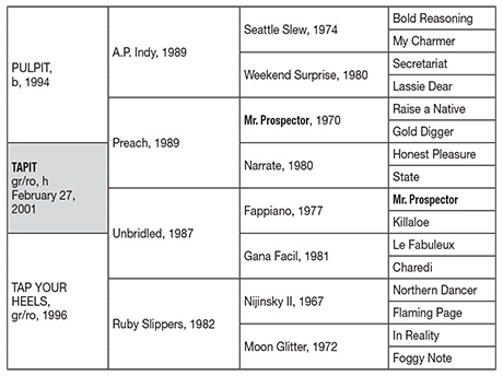 The Secret to Tapit's Success - BloodHorse
