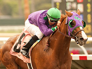 A California Horse Runs for the Roses | The University Press of Kentucky
