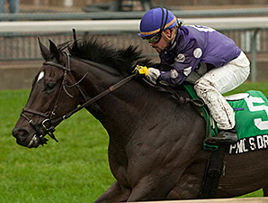 FOUND – Canadian Thoroughbred