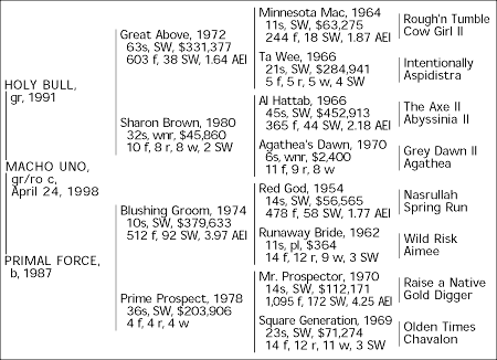 Eclipse Awards: 2-Year-Old Male: Macho Uno - BloodHorse